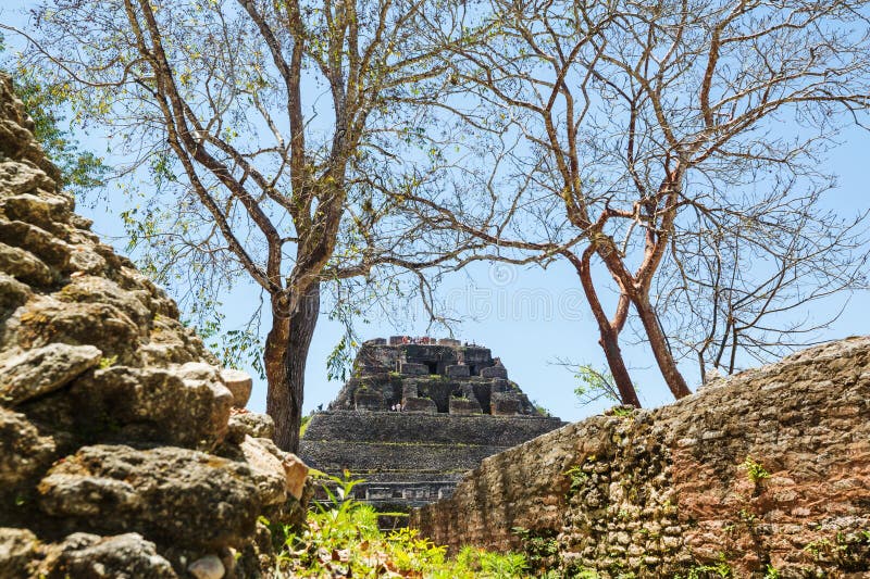 Pyramide in Belize stock photo. Image of maya, historical - 278746776