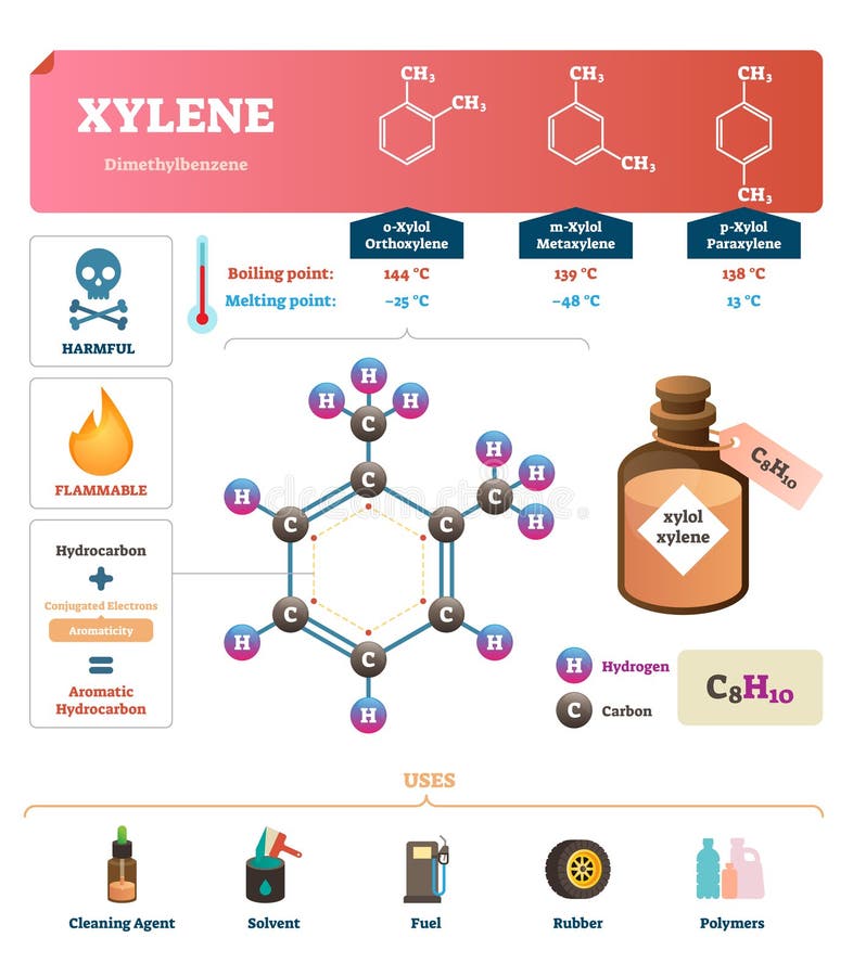 Xylene Vector Illustration. Labeled Synthetic Substance Structure and ...