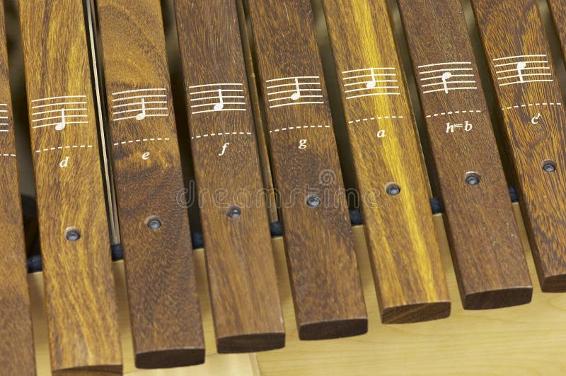 Xylophone stock image. Image of xylophone, music, tune - 606295