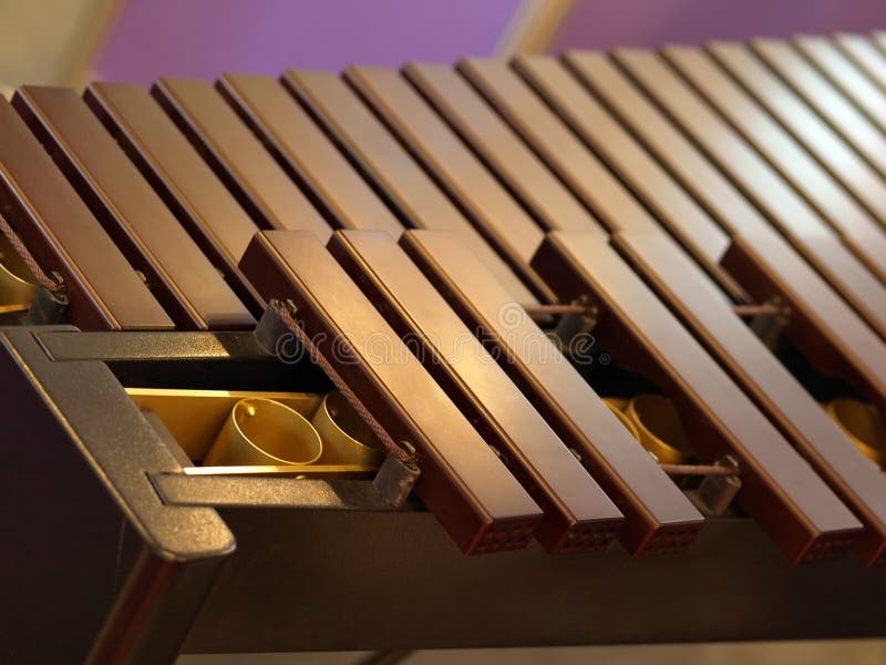 Traditional Thai Xylophone Instrument Ranat Ek Stock Photo - Image of ...