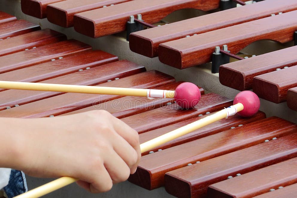 Xylophone playing stock photo. Image of classical, leisure - 34181034