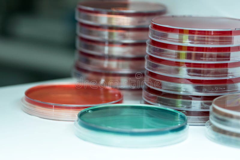 Xylose Lysine Deoxycholate Agar & X28;XLD Agar& X29; and Thiosulphate ...