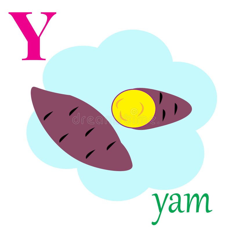 Yam Stock Illustrations – 1,866 Yam Stock Illustrations, Vectors ...