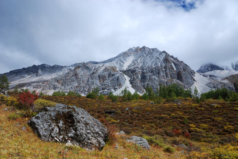 Ya Ding natural reserve stock image. Image of yellow - 16792995