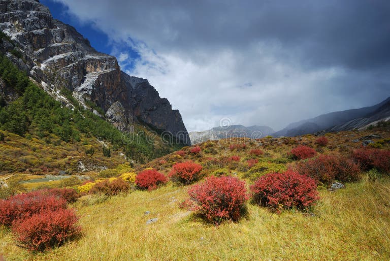 Ya Ding natural reserve stock photo. Image of travel - 16793042