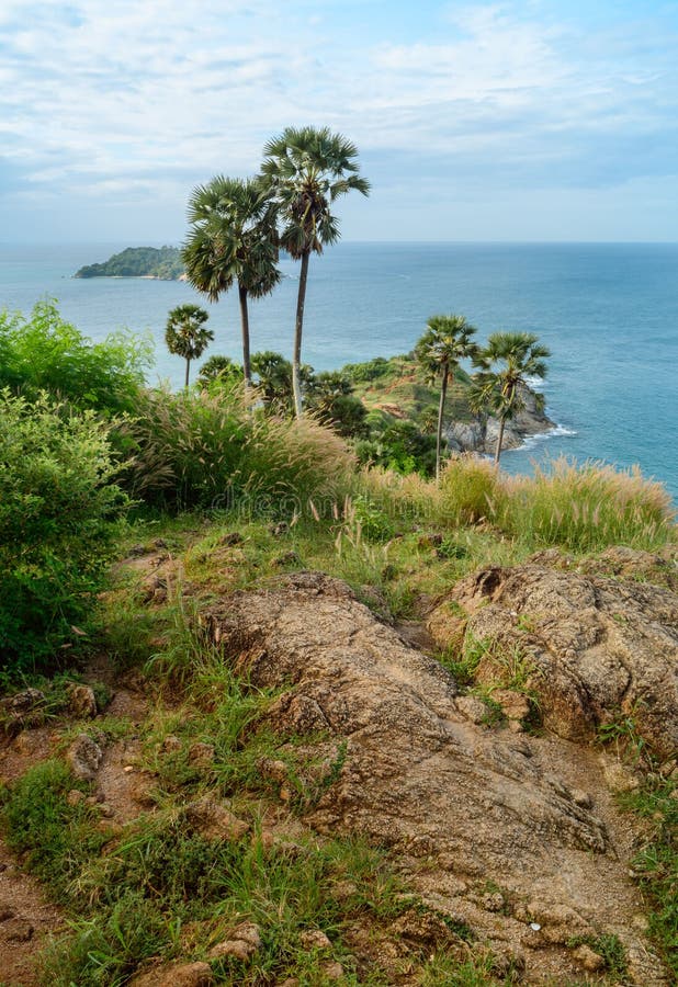 Ya-nui beach lookout point stock image. Image of stone - 263657755
