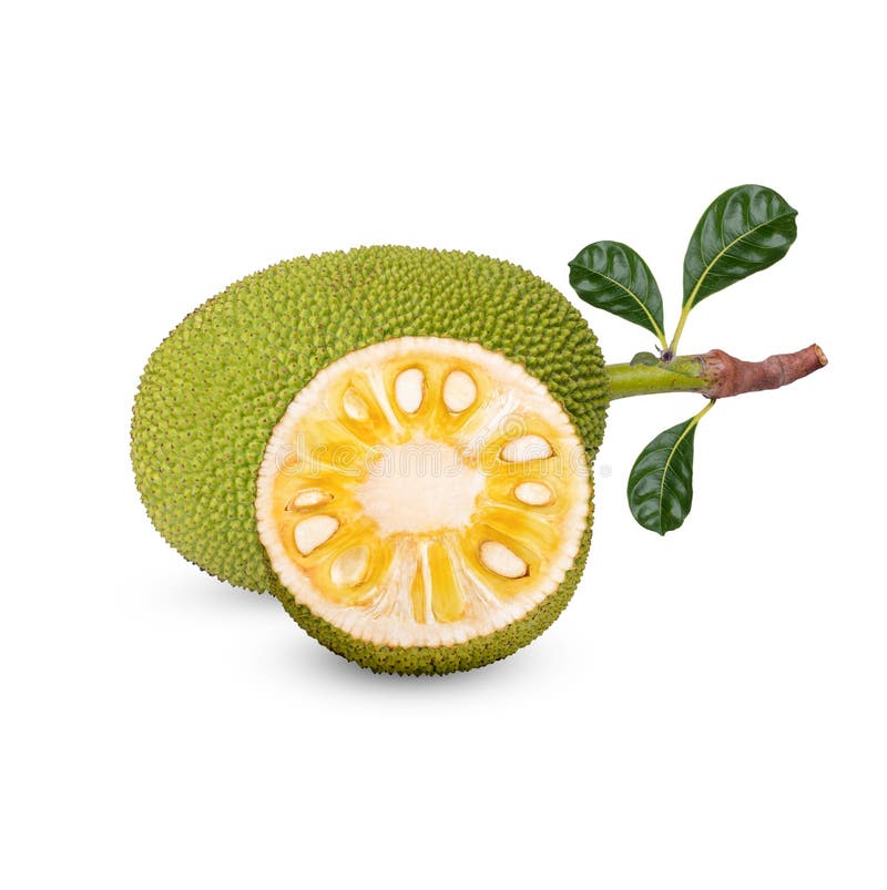 Yaca Madura Aislada En Fondo Blanco Imagen de archivo - Imagen de ...