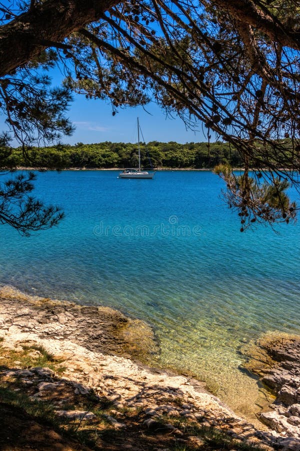 Jordan Banks New Stock Photos - Free & Royalty-Free Stock Photos from ...