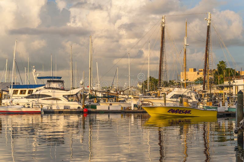 Fury Key West Snorkeling Stock Photos - Free & Royalty-Free Stock ...