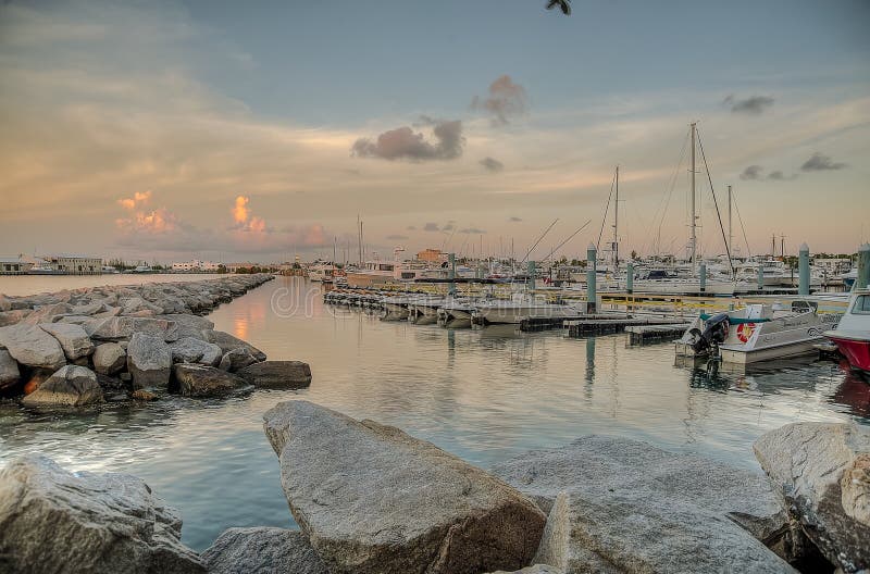 Fury Key West Snorkeling Stock Photos - Free & Royalty-Free Stock ...