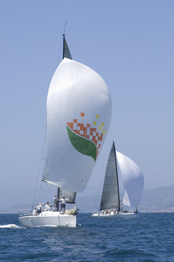 Yachts Compete in Team Sailing Event Stock Image - Image of outdoors ...