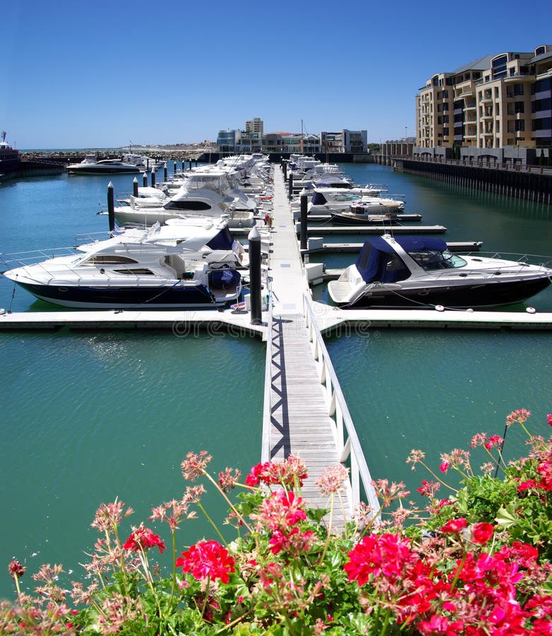 Yachts at Glenelg Marina Pier Stock Photo - Image of cruise, marine ...