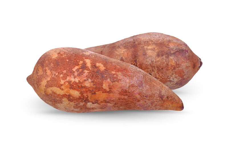 The Yacon Fruit Herb and Healthy Medicine Salutary. Isolate on White ...