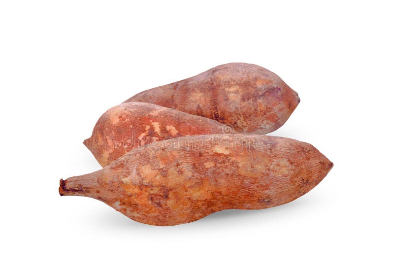 Yacon Fruit or Smallanthus Sonchifolius Stock Image - Image of growth ...