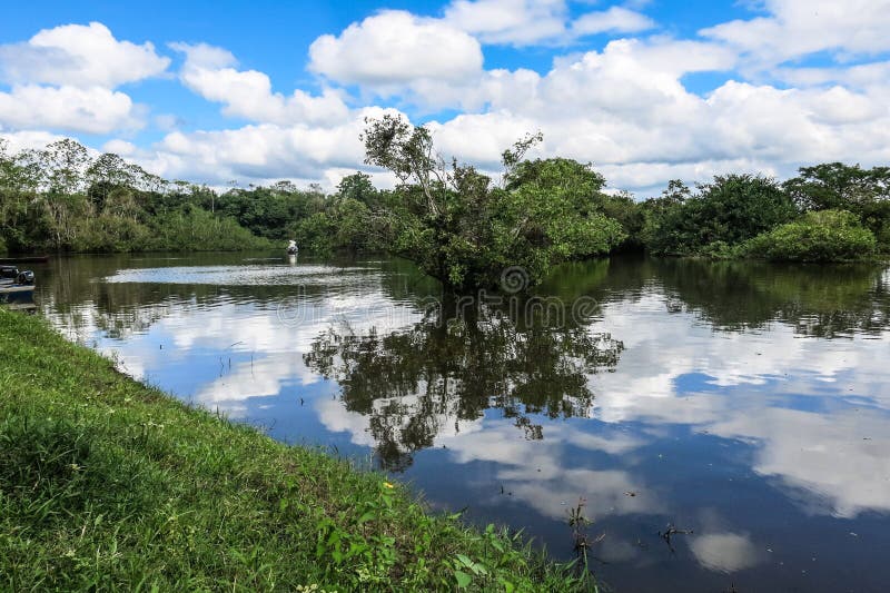 Yacuma River. Bolivian Jungle Stock Photo - Image of natural, light ...