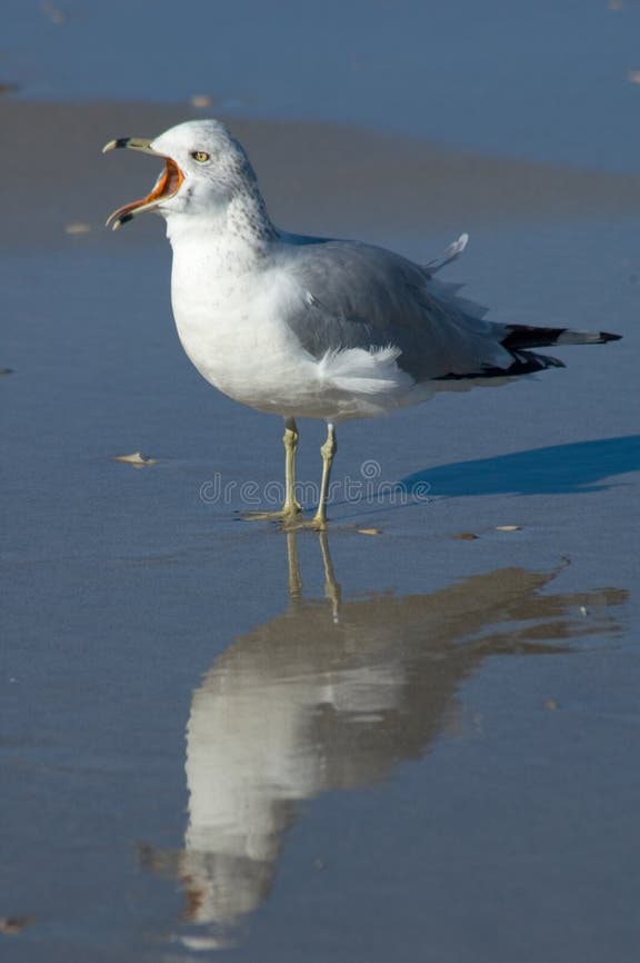 Yada yada yada... stock photo. Image of morning, vacation - 53852