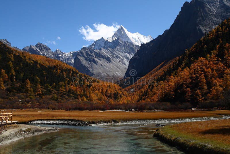 Yading National Reserve, China Stock Image - Image of holy, forest ...