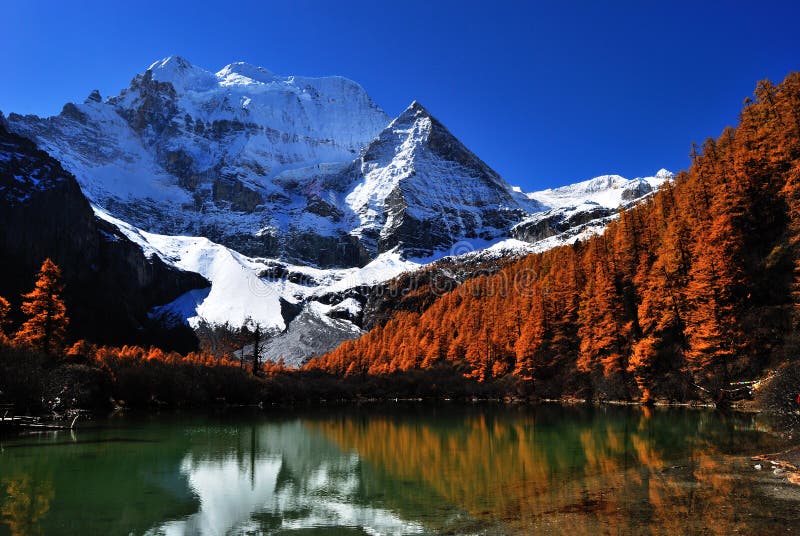 Yading Nature Reserve China Stock Photo - Image of daocheng, autumn ...