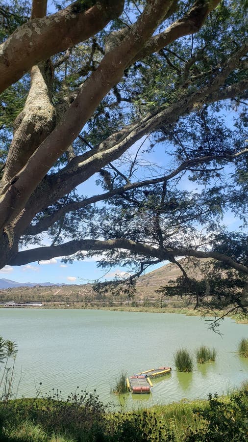 Yahuarcocha Lake in Ecuador Stock Photo - Image of yahuarcocha ...