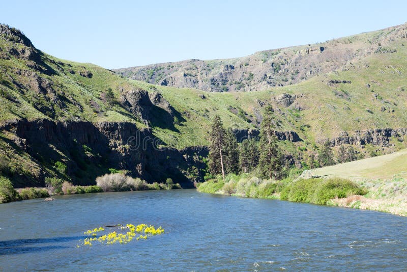 Yakima river stock image. Image of view, travel, trees - 59737615