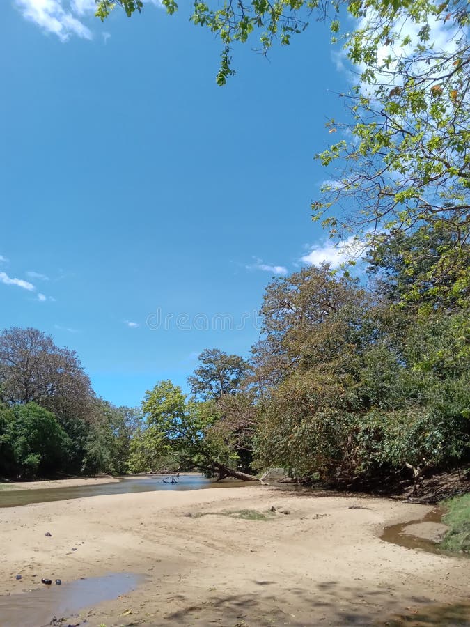 Yala National Park Forest, Sri Lanka ðŸ‡±ðŸ‡° Stock Photo - Image of ...