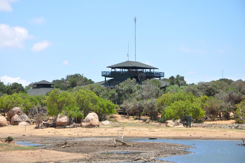 Yala Village stock image. Image of sand, forest, trees - 21316749
