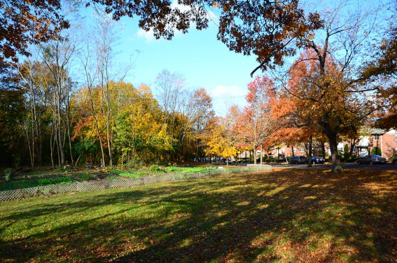Yale Campus street in Fall stock image. Image of education - 101205039