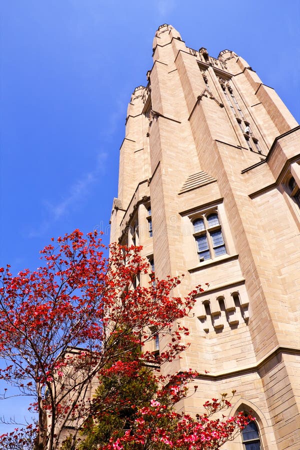 Yale University Sheffiield Building Tower Stock Image - Image of ...
