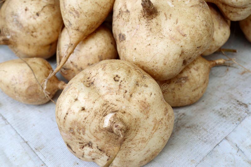 Yam photo stock. Image du traditionnel, frais, végétarien - 102151658