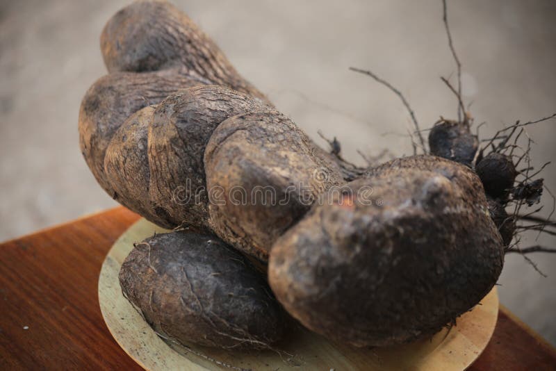 Yam stock foto. Image of productie, azië, prefectuur - 84232648