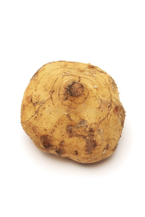 Yam Bean stock image. Image of brown, root, bean, jicama - 5742877