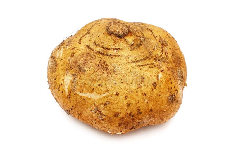 Yam Bean stock image. Image of brown, root, bean, jicama - 5742877