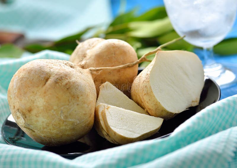 Cassava, Yam Bean, Pachyrhizus Erosus L. Urbar, Jicama On Whit Stock ...