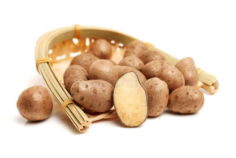 Yam bean stock photo. Image of delicious, cook, botanic - 112959700