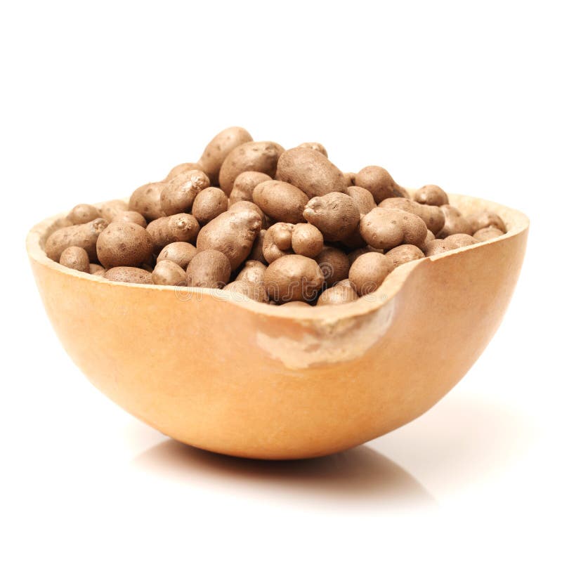 Yam bean stock photo. Image of brown, beam, food, crunchy - 112959818