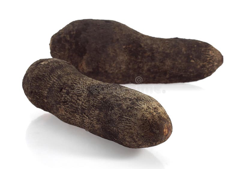 YAM Dioscorea Sp AGAINST WHITE BACKGROUND Stock Photo - Image of ...