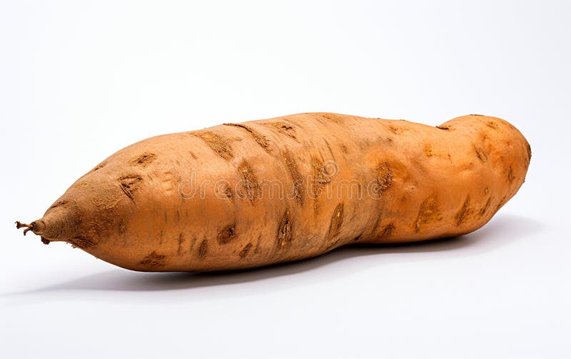Yam on White Background stock illustration. Illustration of nutty ...