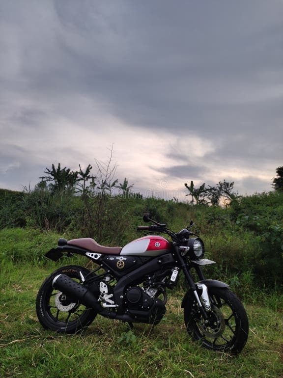 Yamaha XSR 155 editorial stock photo. Image of xsr155 - 261690403