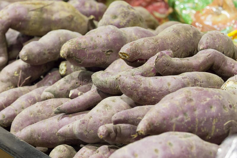 Yams vegetable at market stock photo. Image of vegetable - 165314596