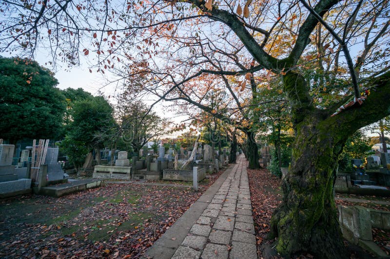 Yanaka Cemetery, Japan Tokyo Editorial Photo - Image of nature, fallen ...