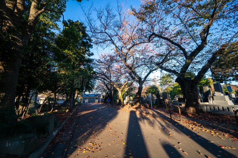 Yanaka Cemetery, Japan Tokyo Editorial Photography - Image of natural ...