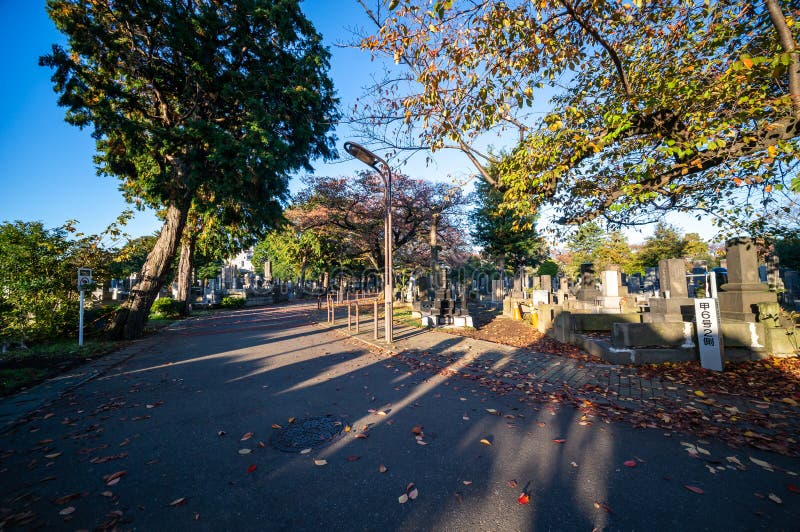 Yanaka Cemetery, Japan Tokyo Editorial Photo - Image of ginkgo, park ...