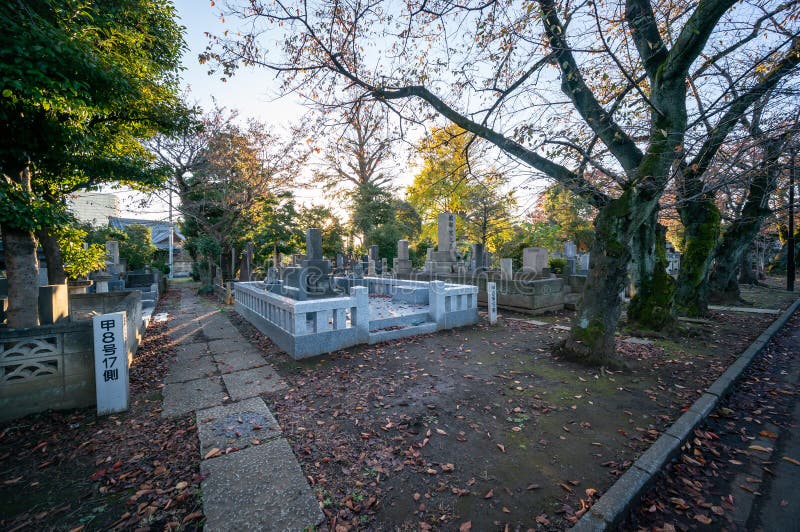 Yanaka Cemetery, Japan Tokyo Editorial Stock Image - Image of forest ...