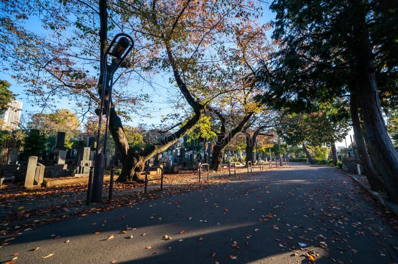 Yanaka Cemetery, Japan Tokyo Editorial Stock Photo - Image of fallen ...