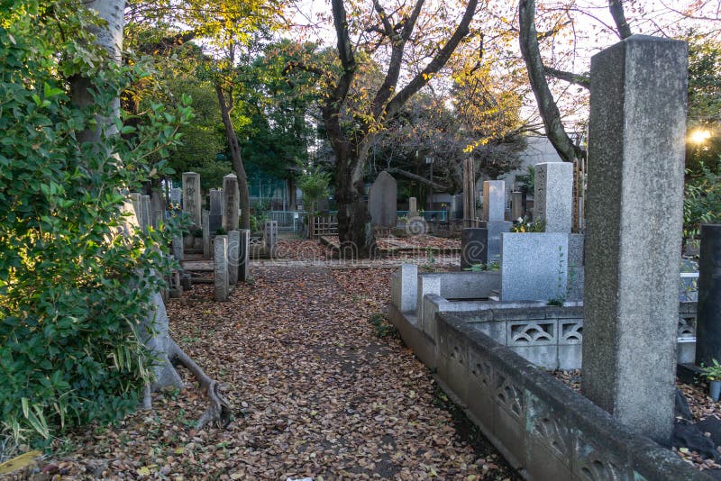 Yanaka Cemetery, Japan Tokyo Editorial Image - Image of ginkgo ...