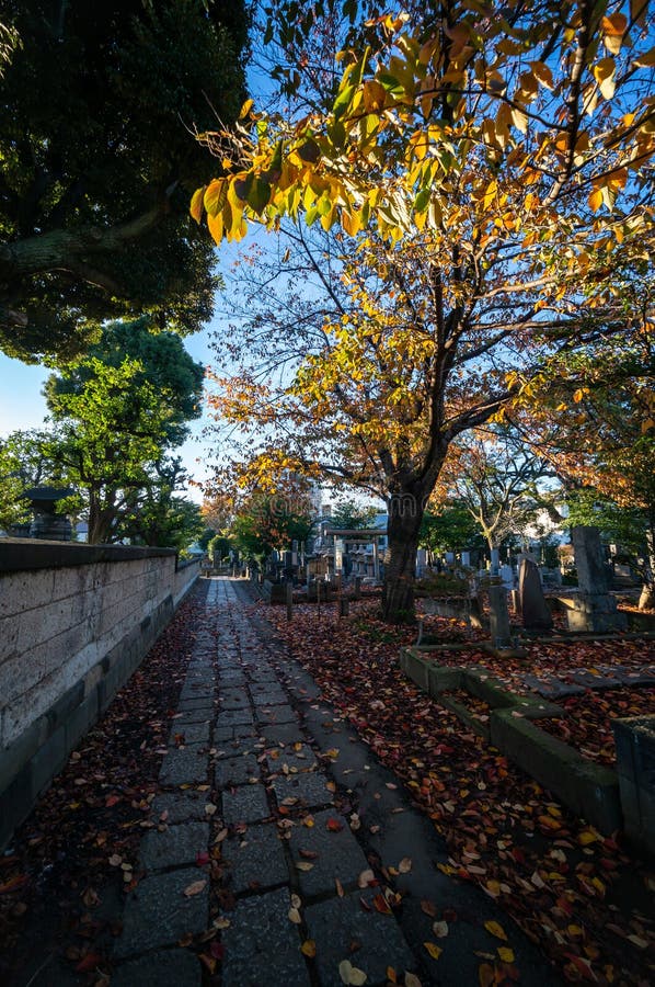 Yanaka Cemetery, Japan Tokyo Editorial Stock Photo - Image of nippori ...