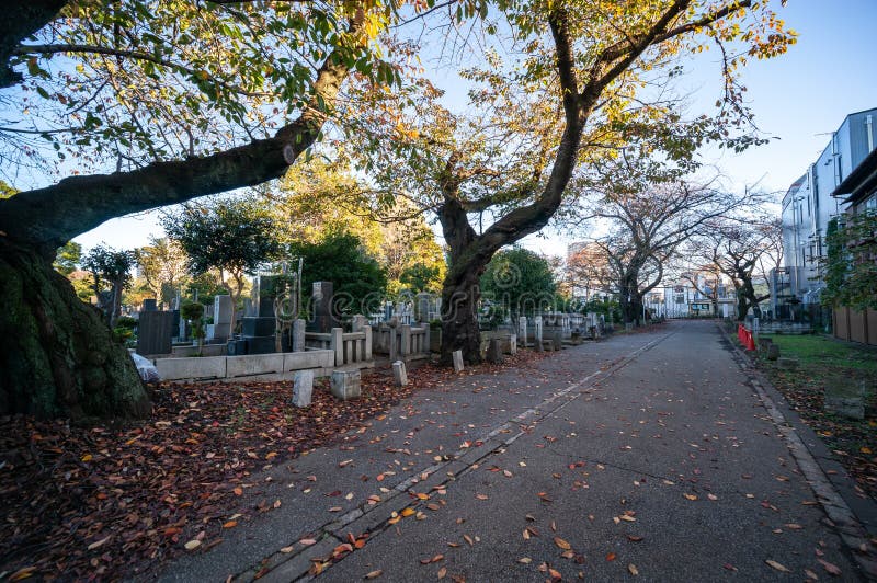 Yanaka Cemetery, Japan Tokyo Editorial Image - Image of memorial ...