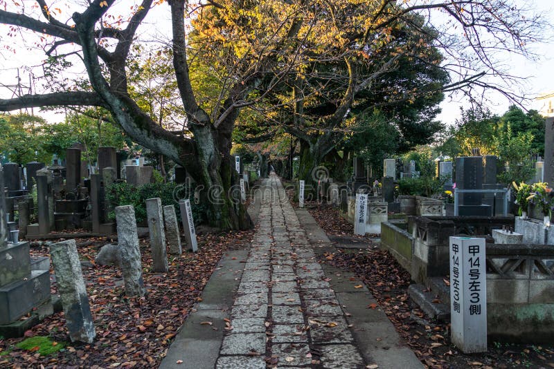 Yanaka Cemetery, Japan Tokyo Editorial Stock Image - Image of nippori ...