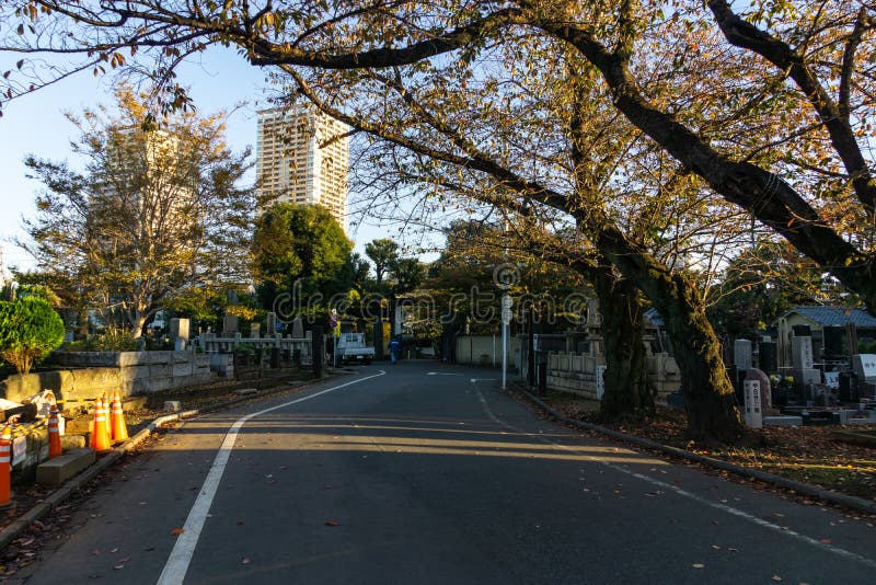 Yanaka Cemetery, Japan Tokyo Editorial Photography - Image of green ...