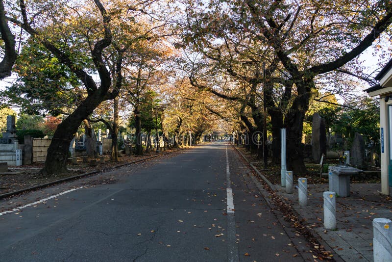 Yanaka Cemetery, Japan Tokyo Editorial Stock Image - Image of leaf ...